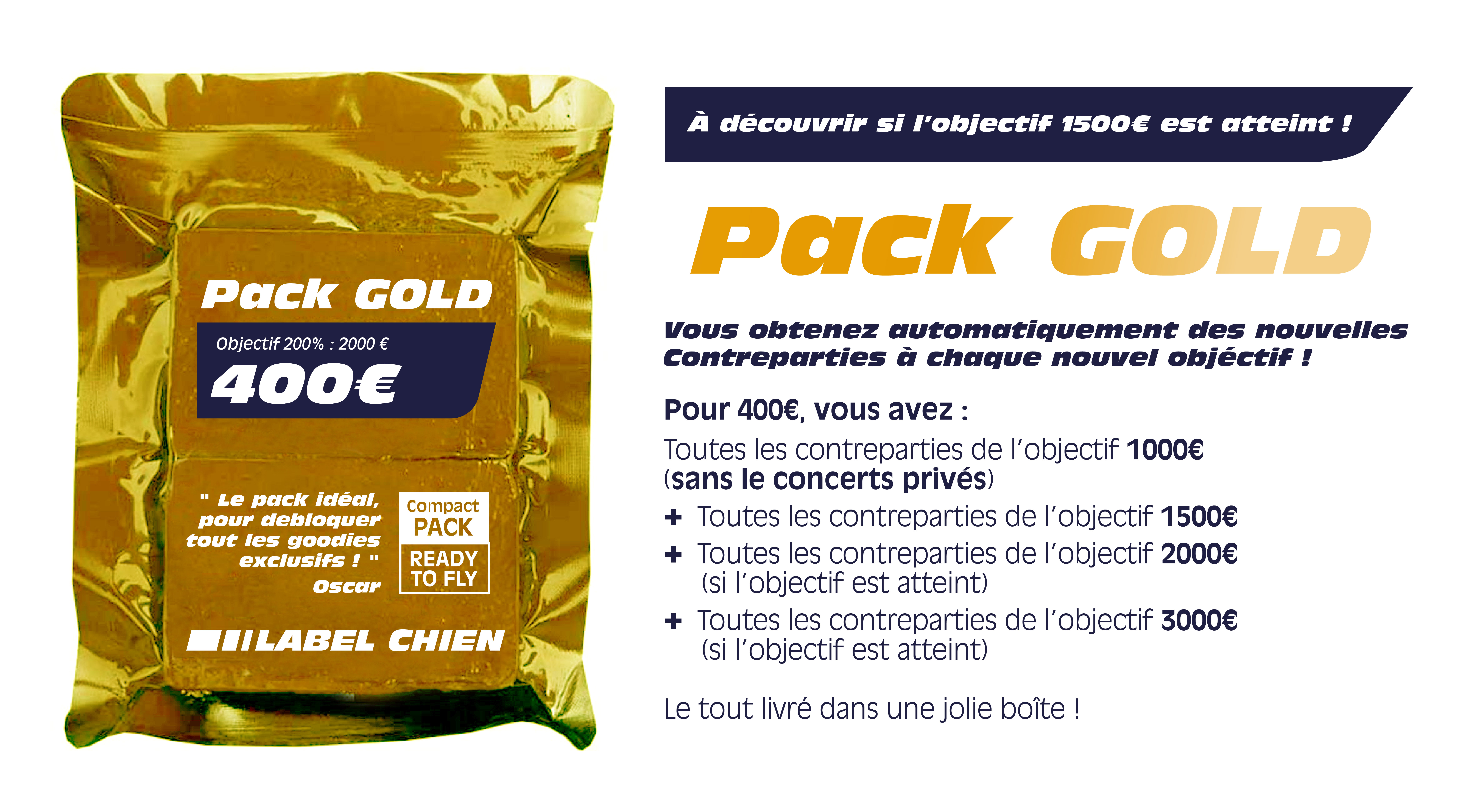 Des concerts inoubliables ! - Ulule