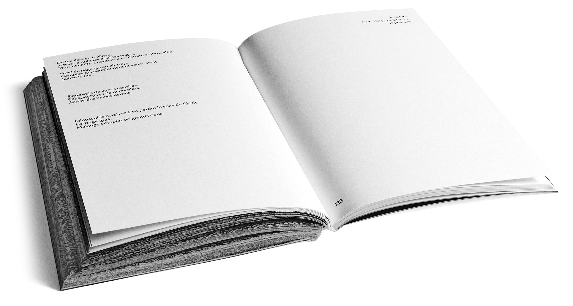 Sur les lignes de Verlaine… Mise en miroir - Ulule