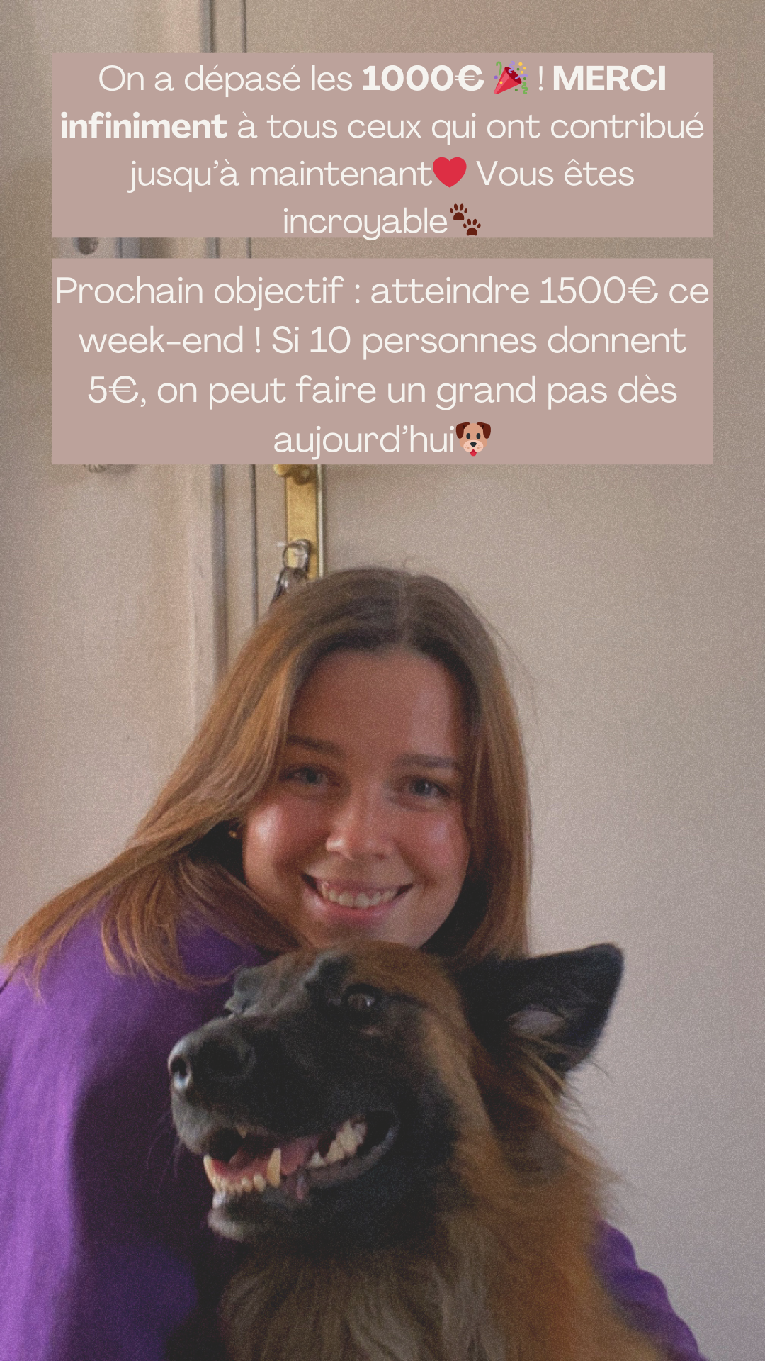 Saika & co. le premier dog concept store à Lorient - Ulule