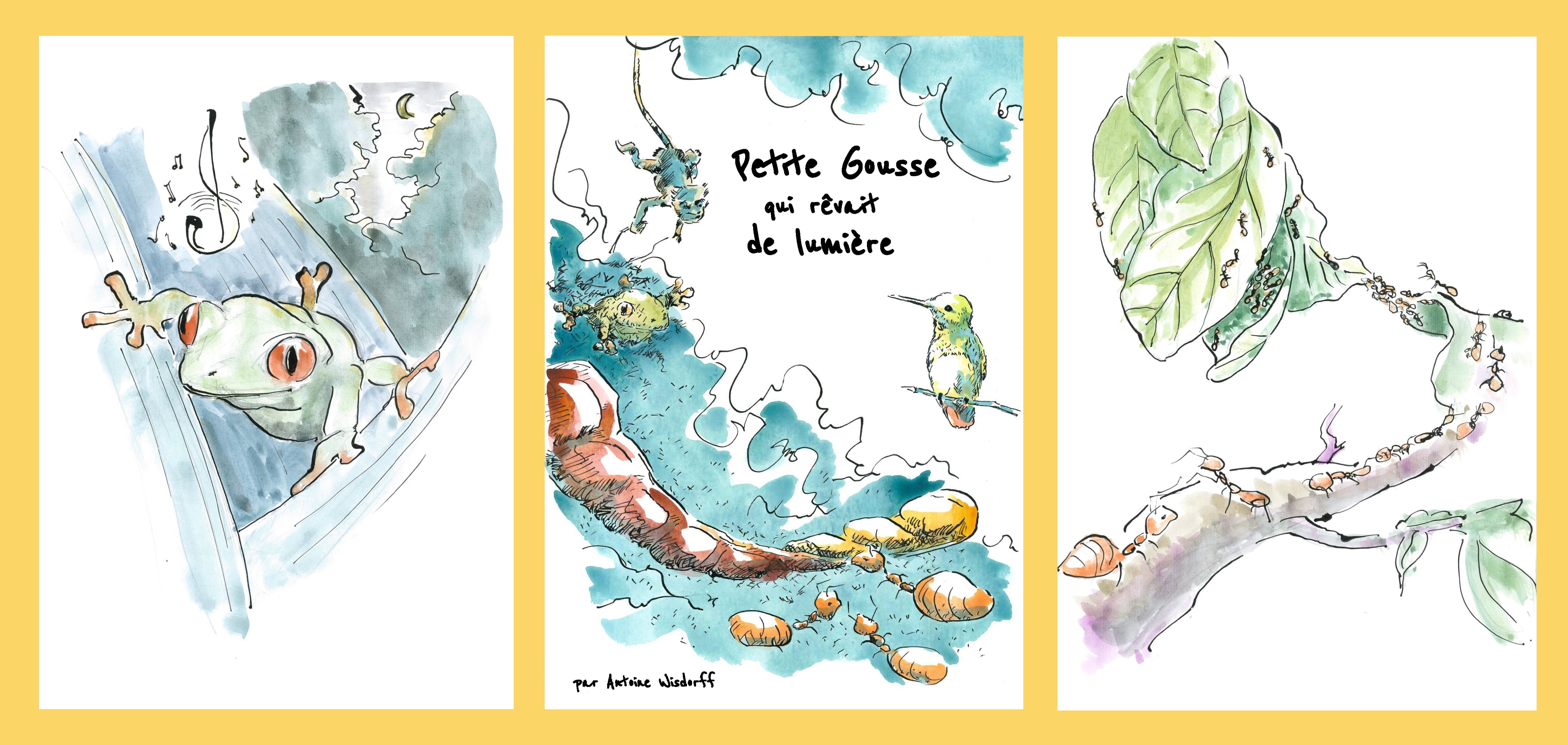 Mon 1er album jeunesse - Petite Gousse qui rêvait de lumière - Ulule