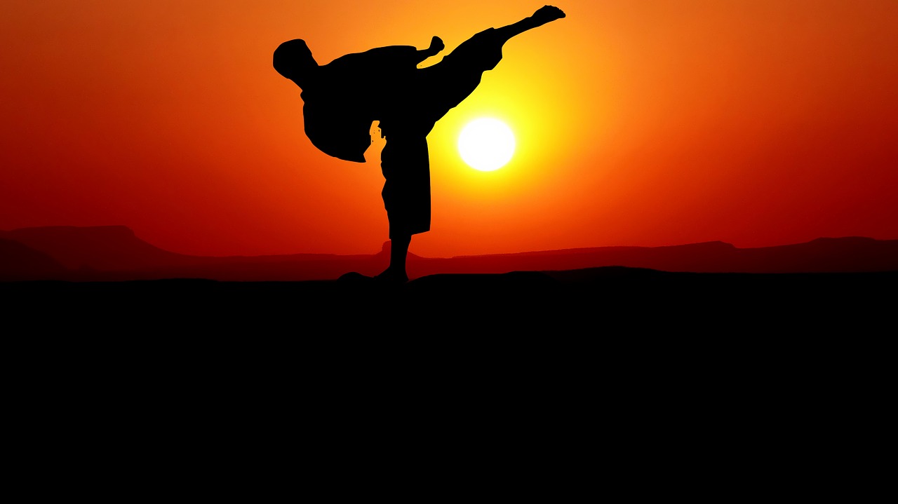 SELF-KARATE