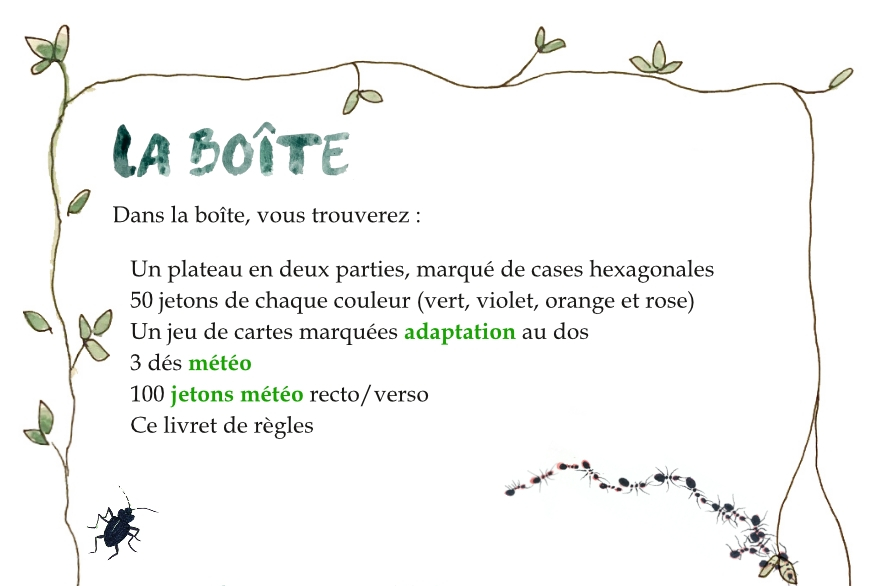 Bellis plantae, un jeu de conquête végétale