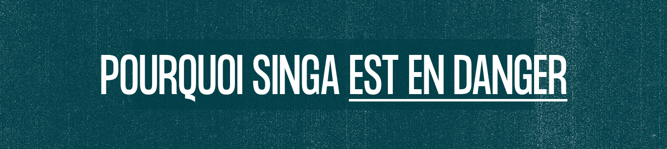 Défendons SINGA : des liens, pas des murs. - Ulule