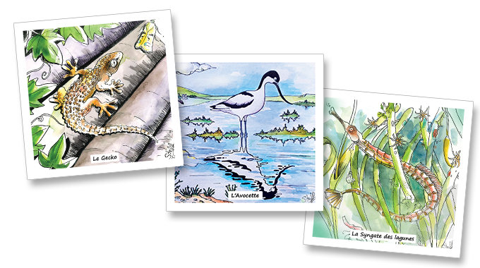 Jeu Memory du pays de Thau