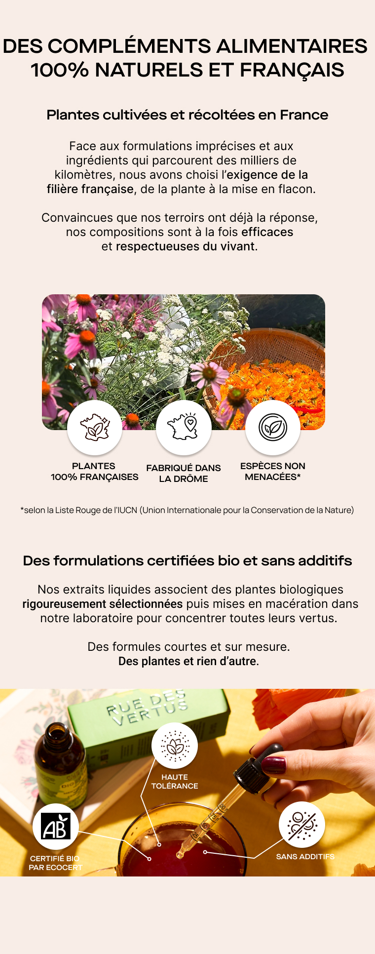 RUE DES VERTUS 🌻 Plantes médicinales en extraits liquides - Ulule