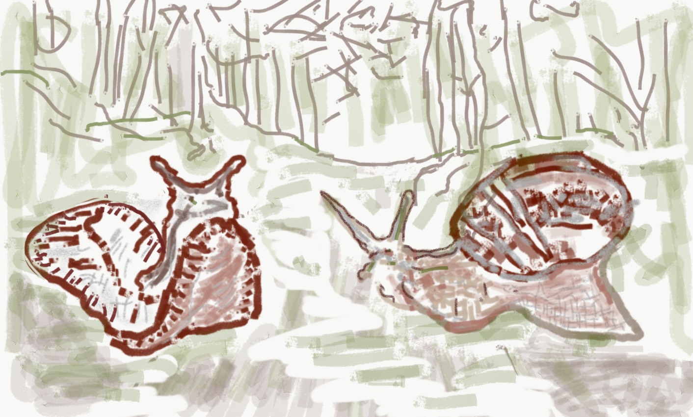 l'escargot et la limace : film de cinéma - Ulule