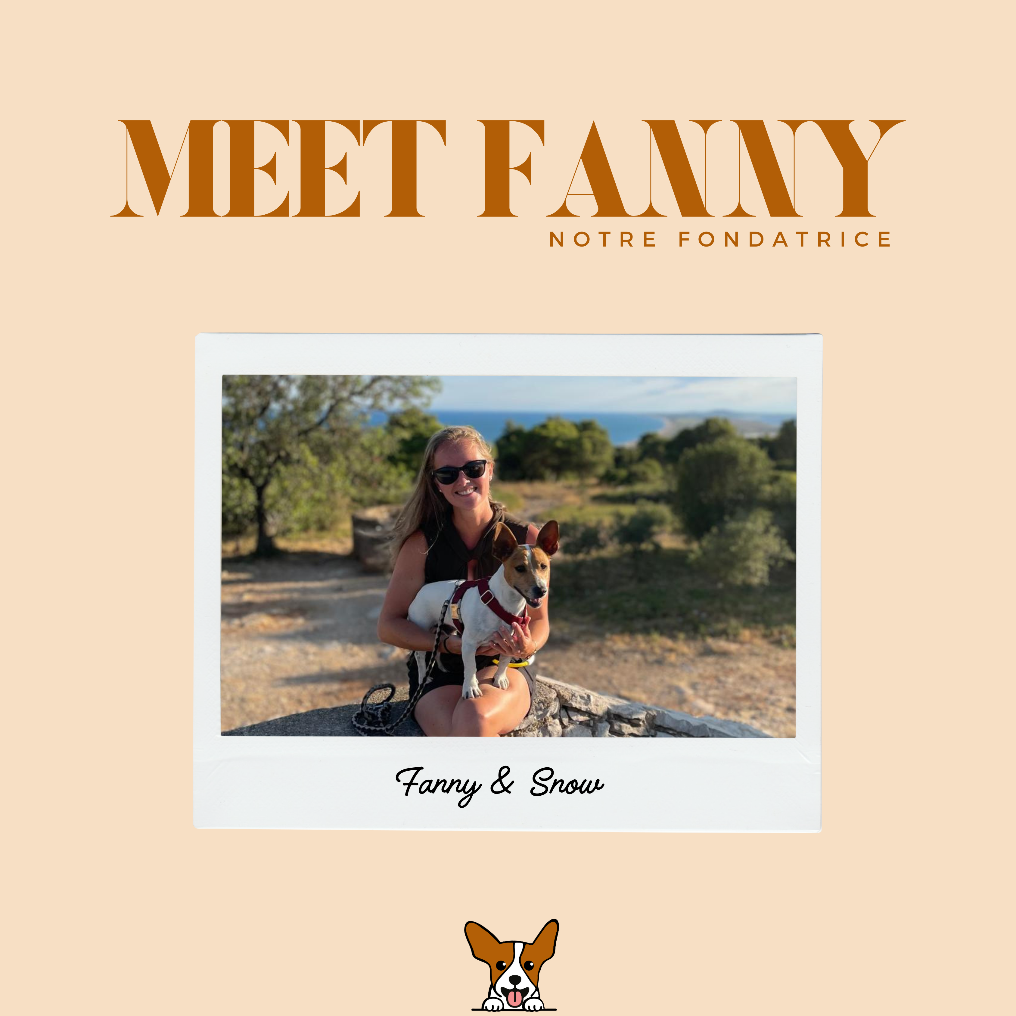 DOG DAYCARE : dédié au bonheur des chiens au quotidien