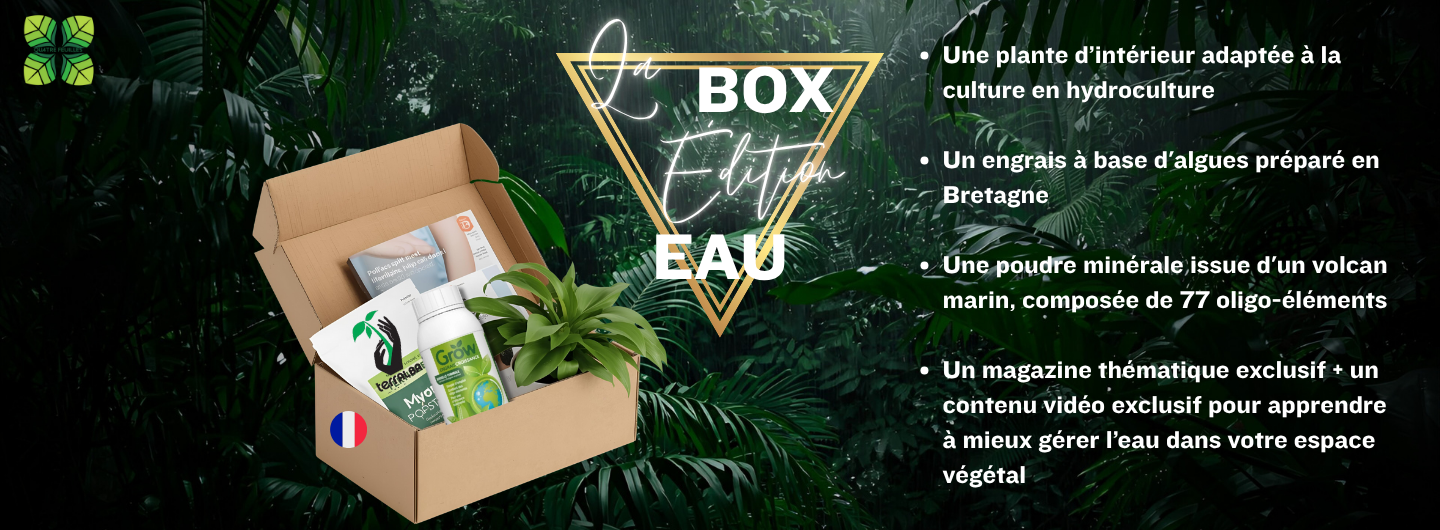 💧BOX QU4TRE ELEMENTS - L'EAU