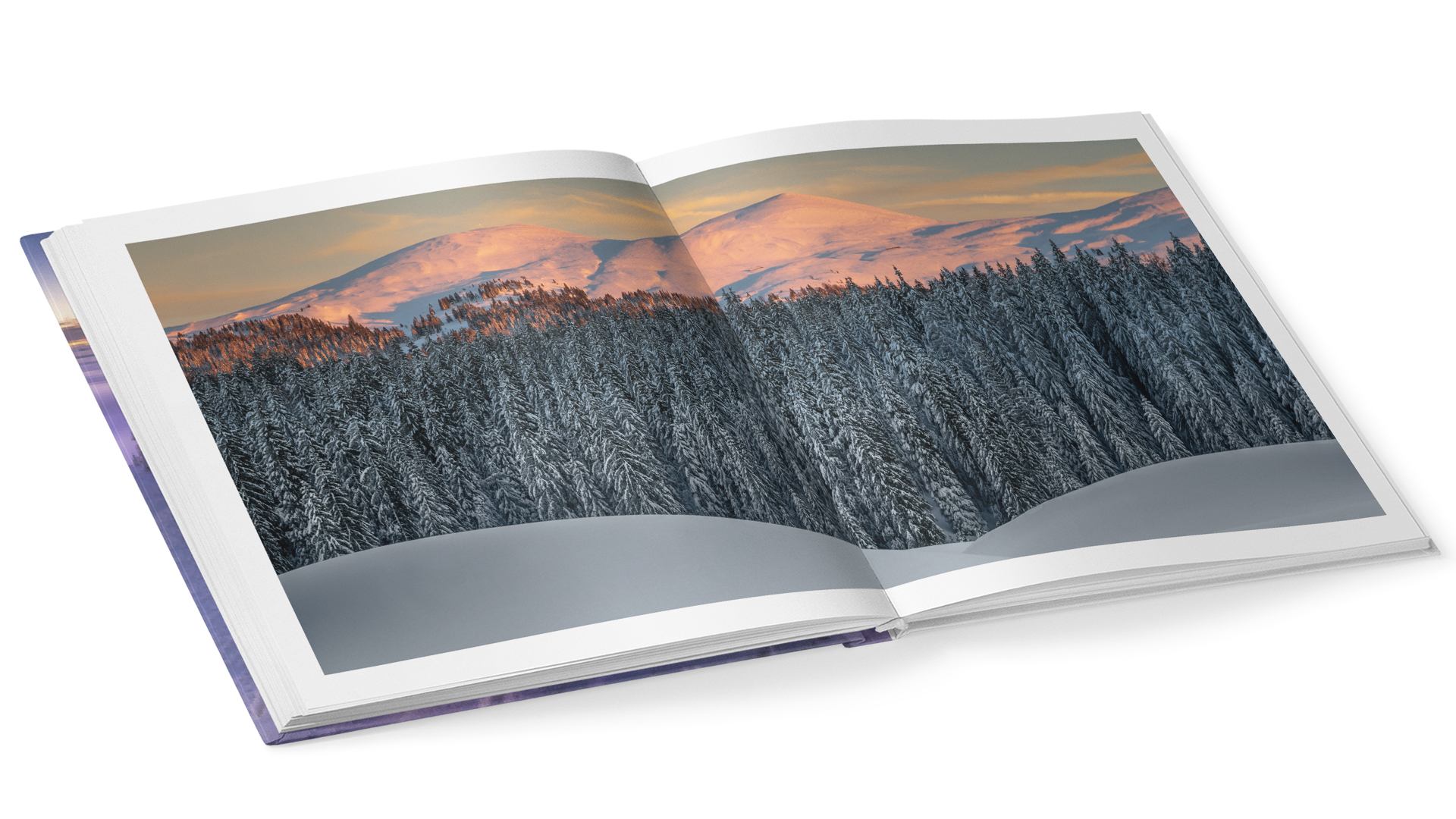 Lumières Furtives - Prolongations 🚀 - Ulule