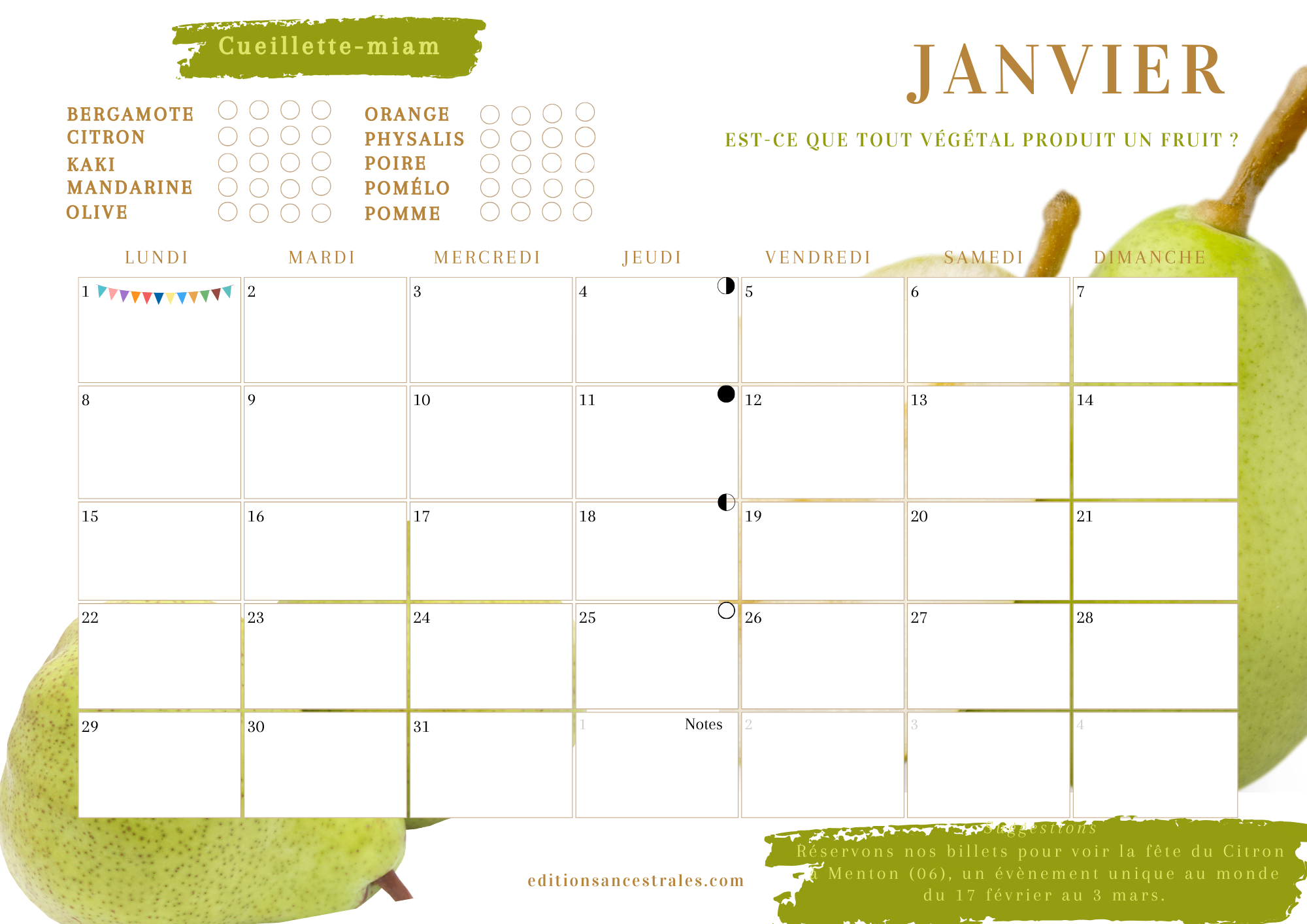 Calendrier 2024 Une Année Fruitée - Ulule