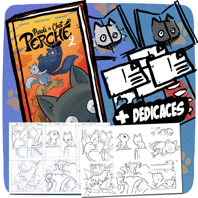 Parole de chat - PERCHÉ 2 - Ulule