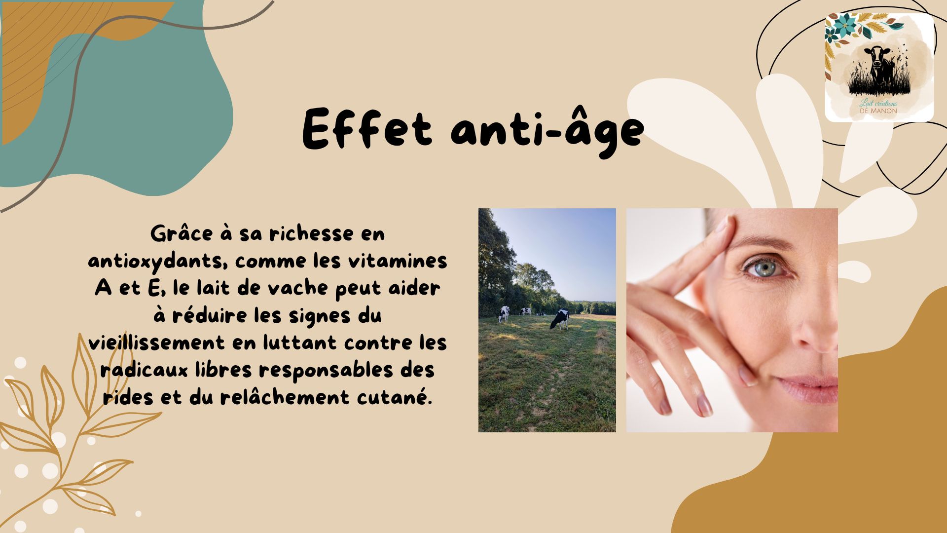 Cosmétiques au lait de vache Bio, votre allié quotidien ! - Ulule
