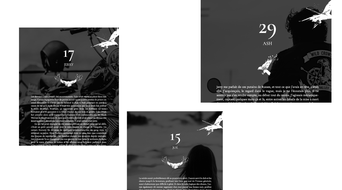 Wild Crows : une intégrale collector pour Noël ! - Ulule