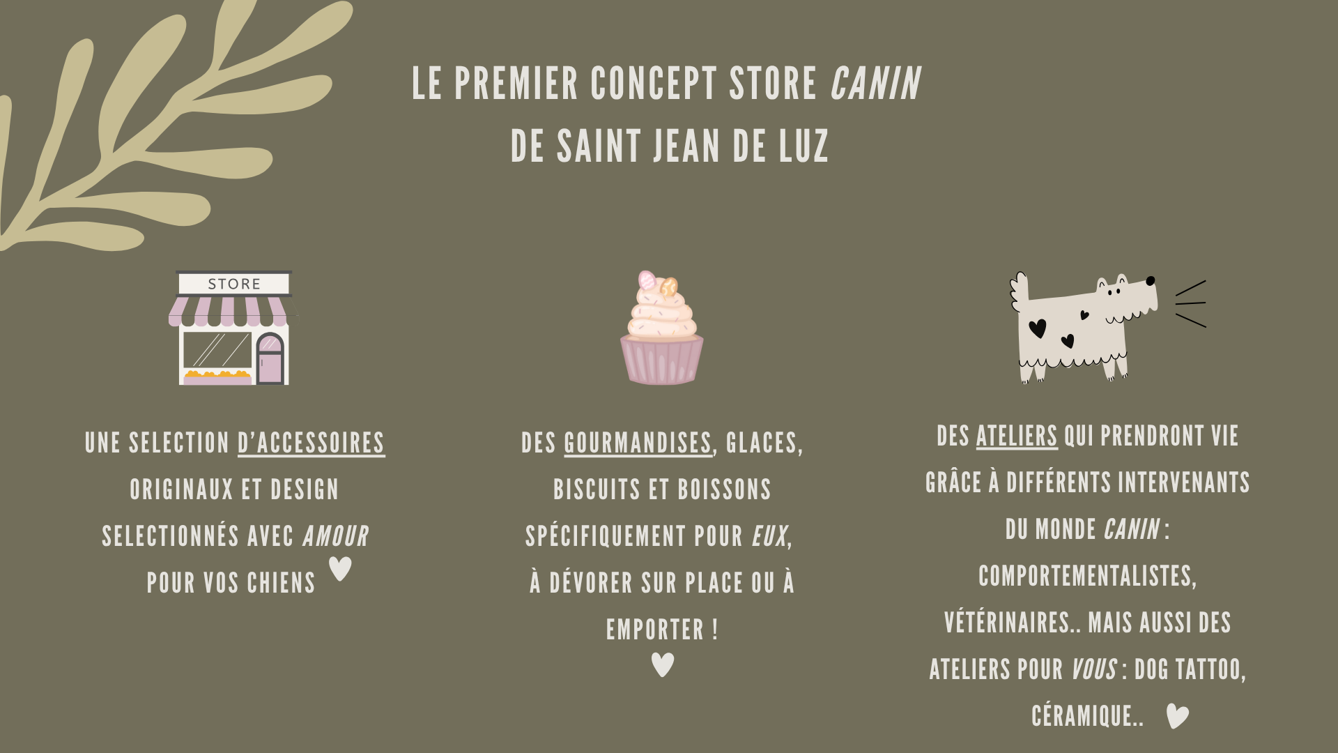 POGGO'S - Le 1er concept store canin de Saint-Jean-de-Luz