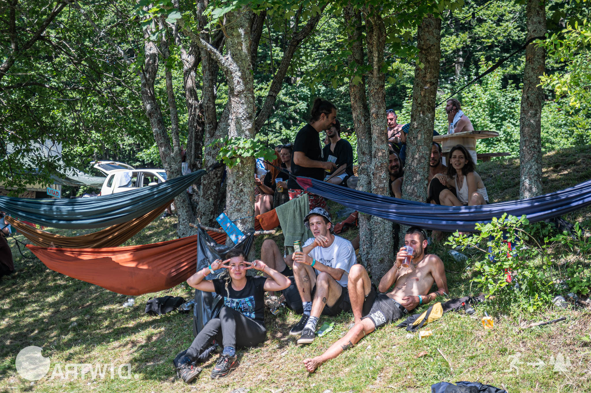 TRK U ŠUMU / RUN TO THE FOREST 2025 - CROWDFUNDING - Ulule