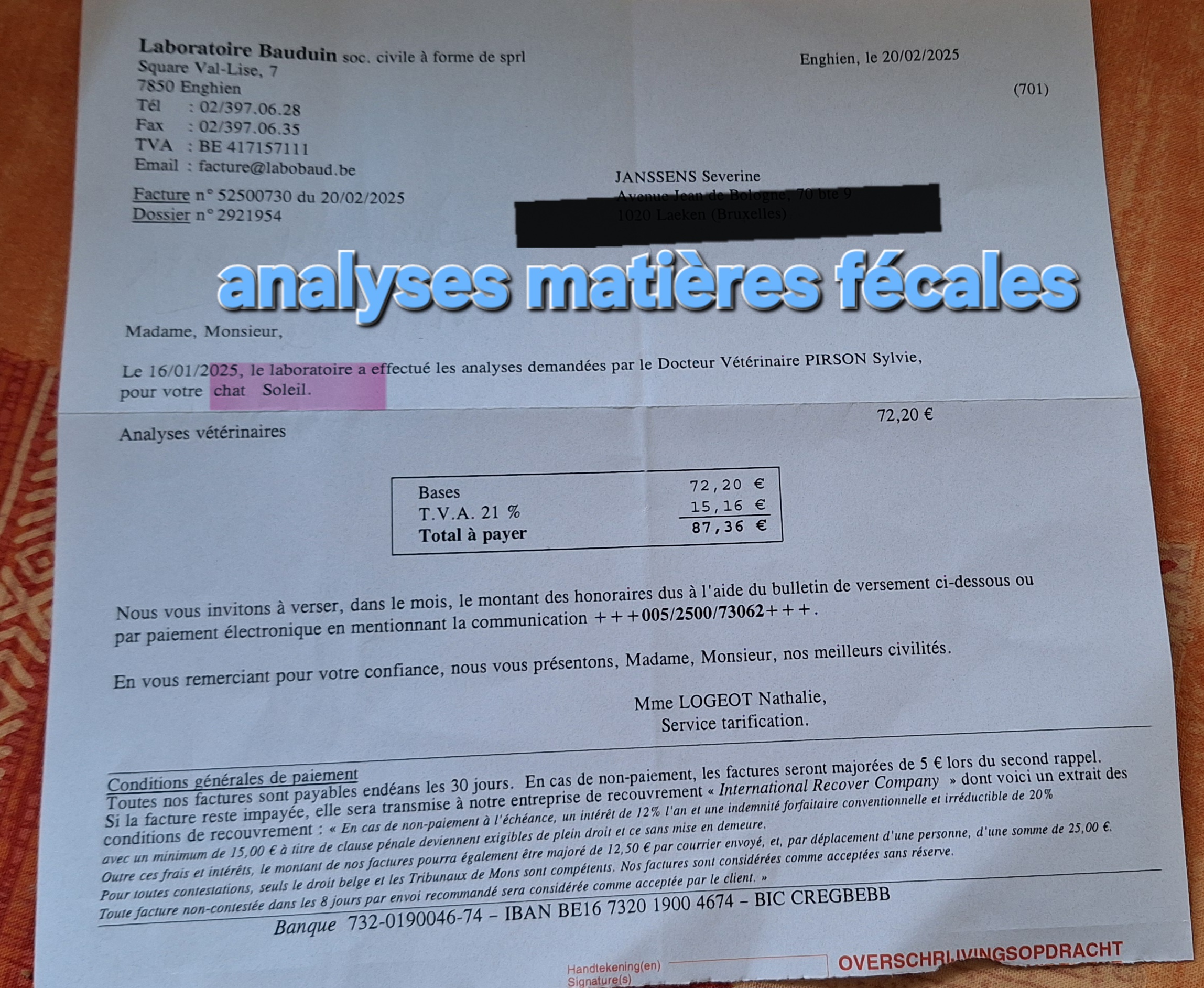 Aide pour l'opération de la masse cancéreuse de Soleil. 🐱 - Ulule