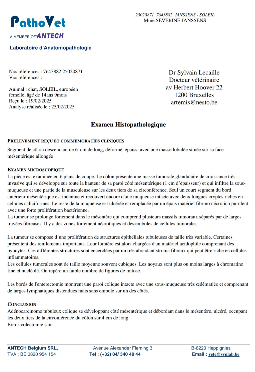 Aide pour l'opération de la masse cancéreuse de Soleil. 🐱 - Ulule