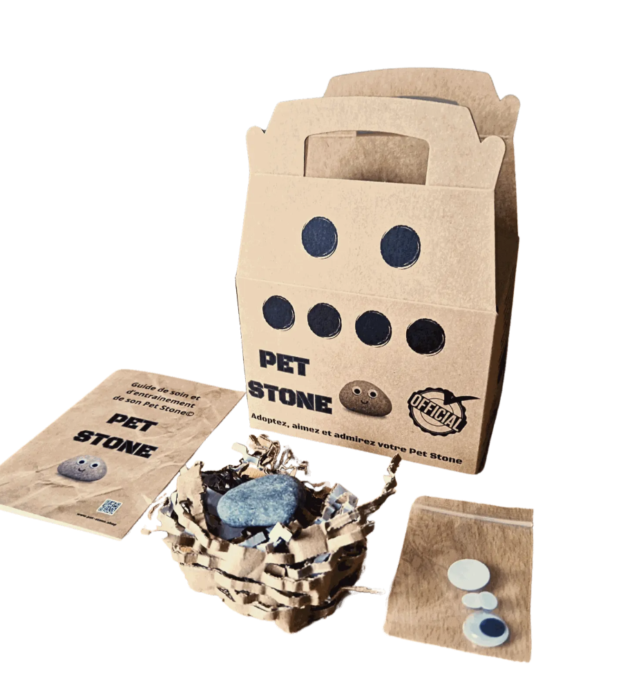 Adoptez, Personnalisez votre Pet Stone - Ulule