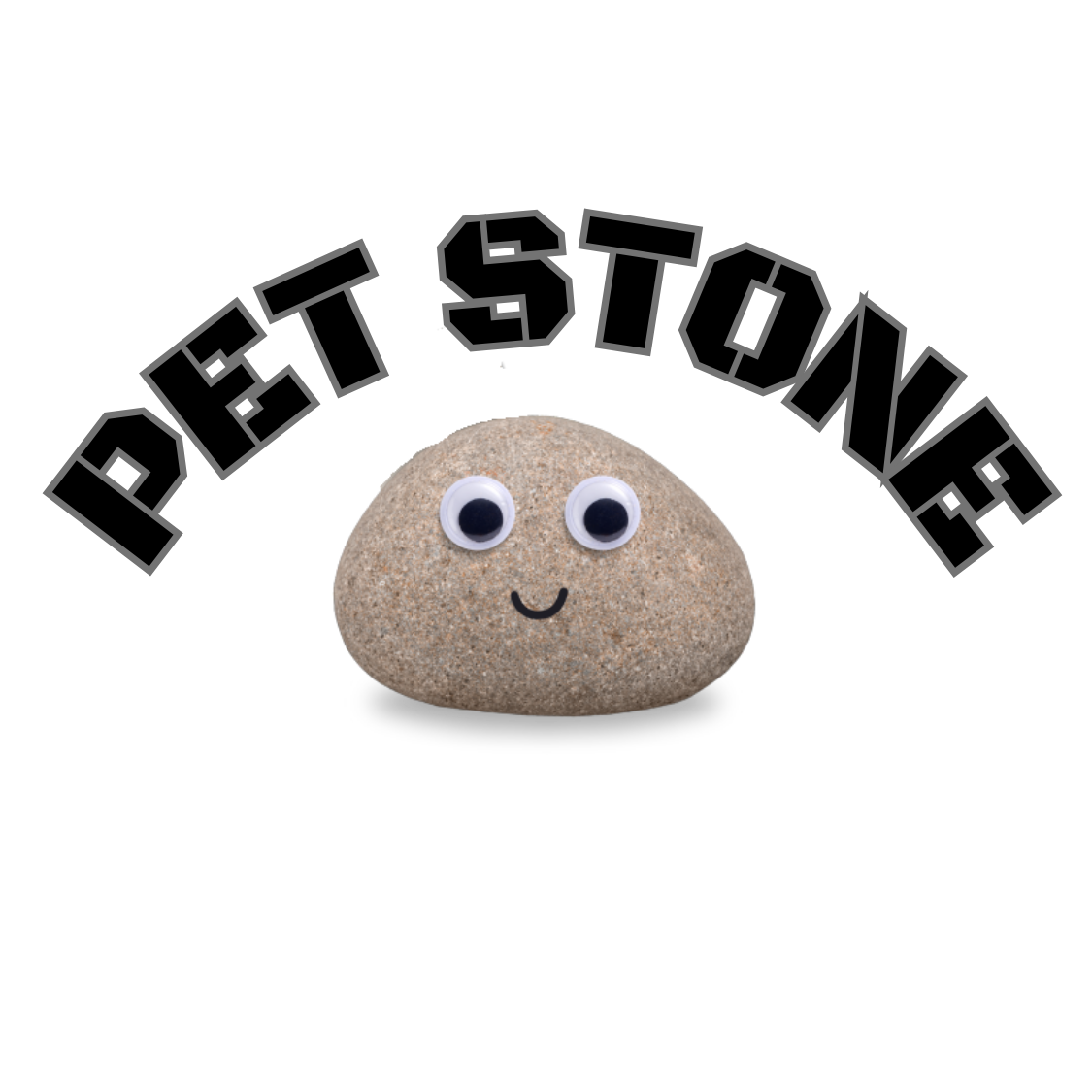 Adoptez, Personnalisez votre Pet Stone - Ulule