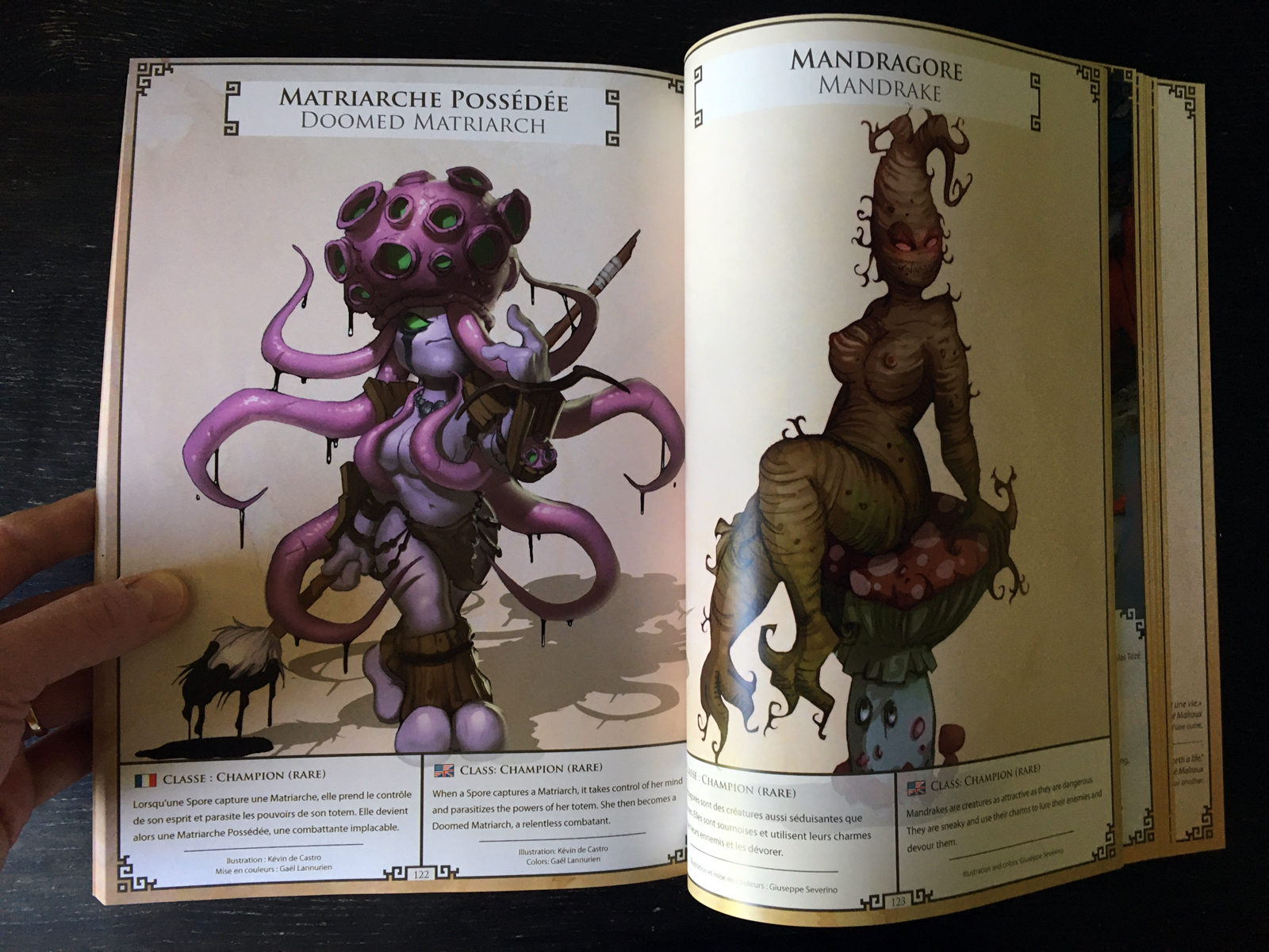 Color Quest Saga Reprint - Ulule