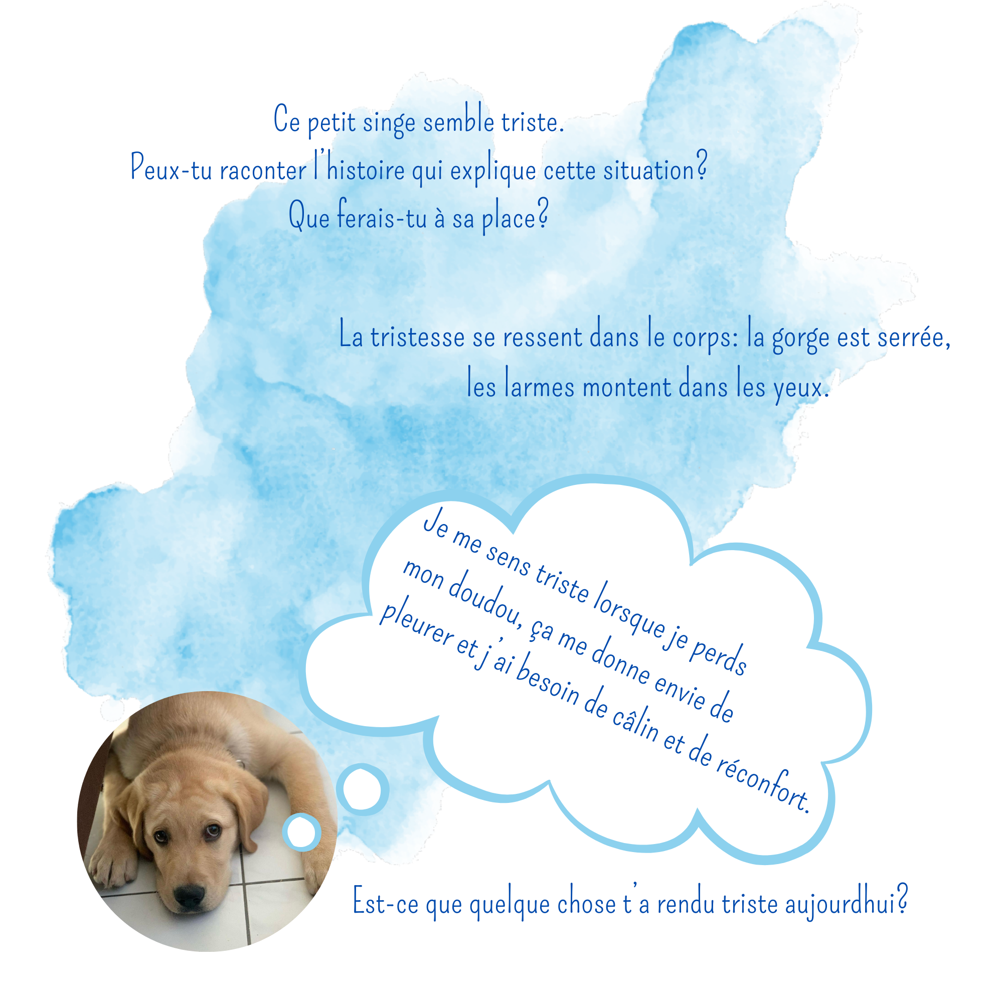 « Mon Safari des émotions » - Ulule