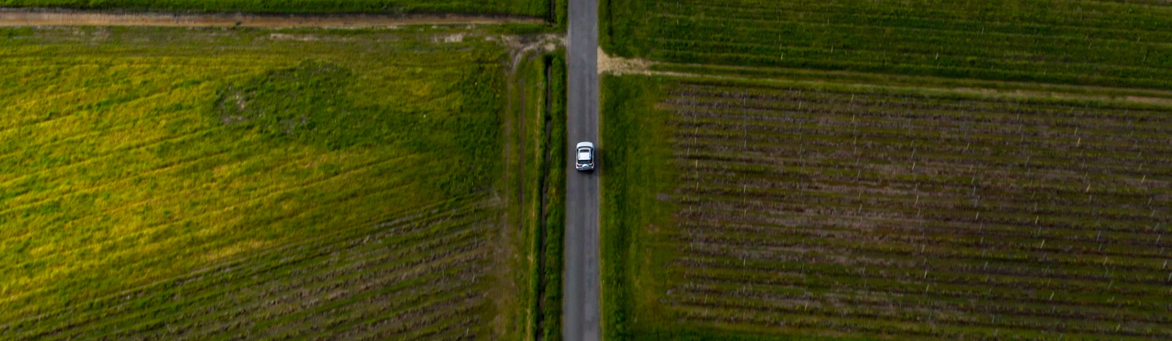 Mystérieuse biodynamie - culture de l'invisible