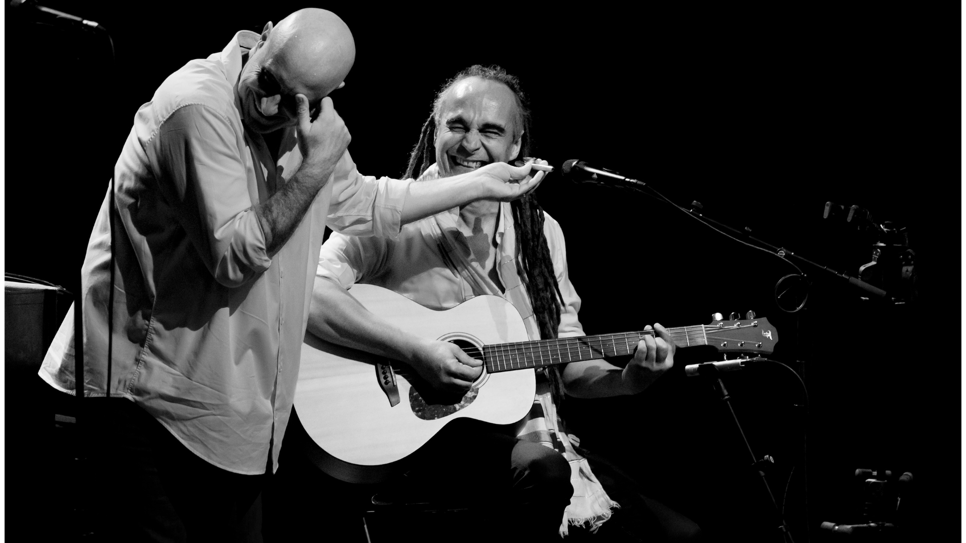 Mike et Riké de Sinsémilia : les albums