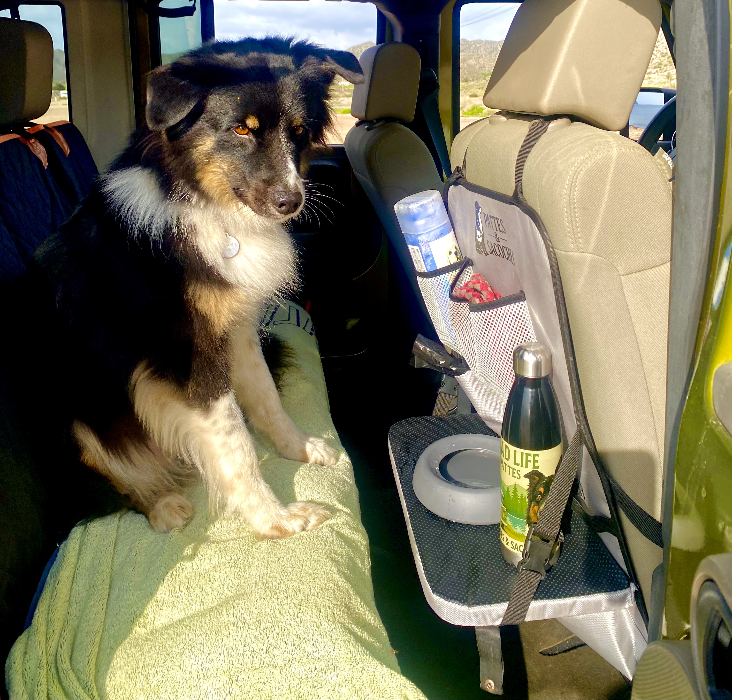 Des poches, de l’eau, et un chien heureux, même en voiture