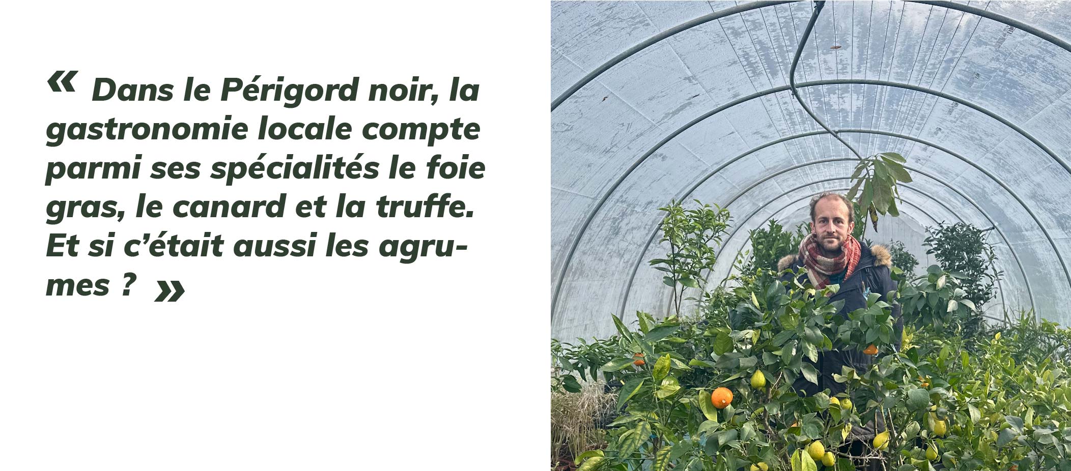 Les agrumes, en quête de rusticité ! - Ulule