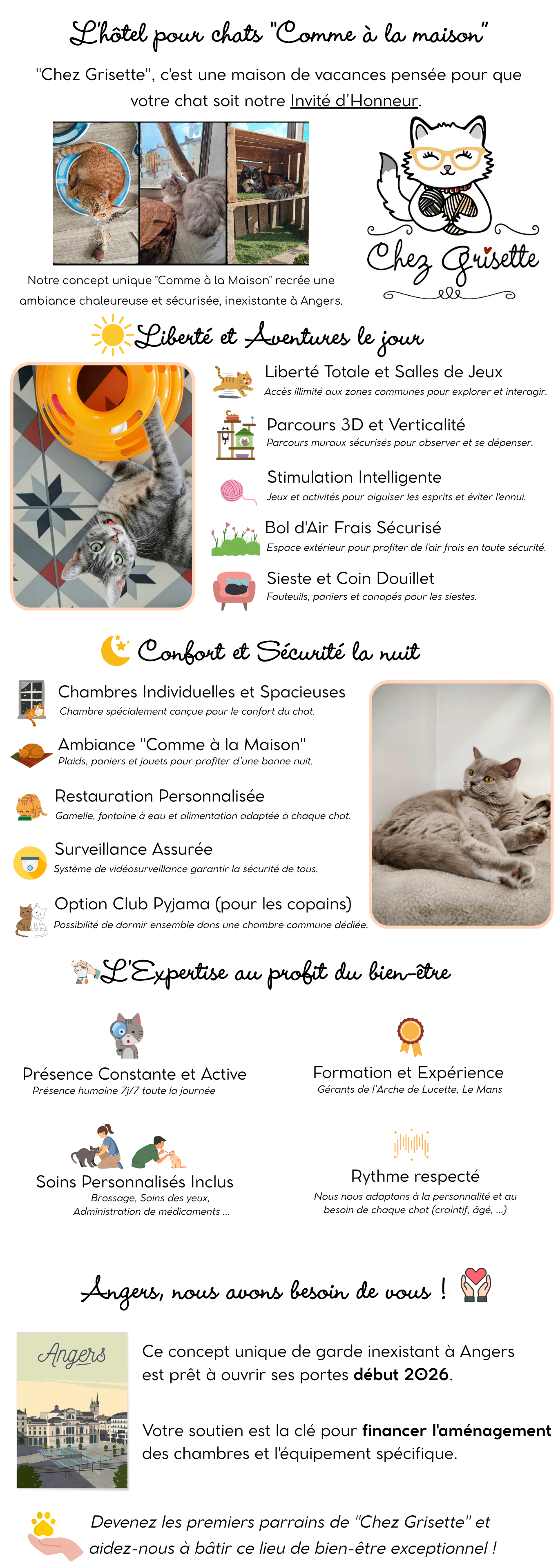 Chez Grisette Angers – Votre futur hôtel pour chats