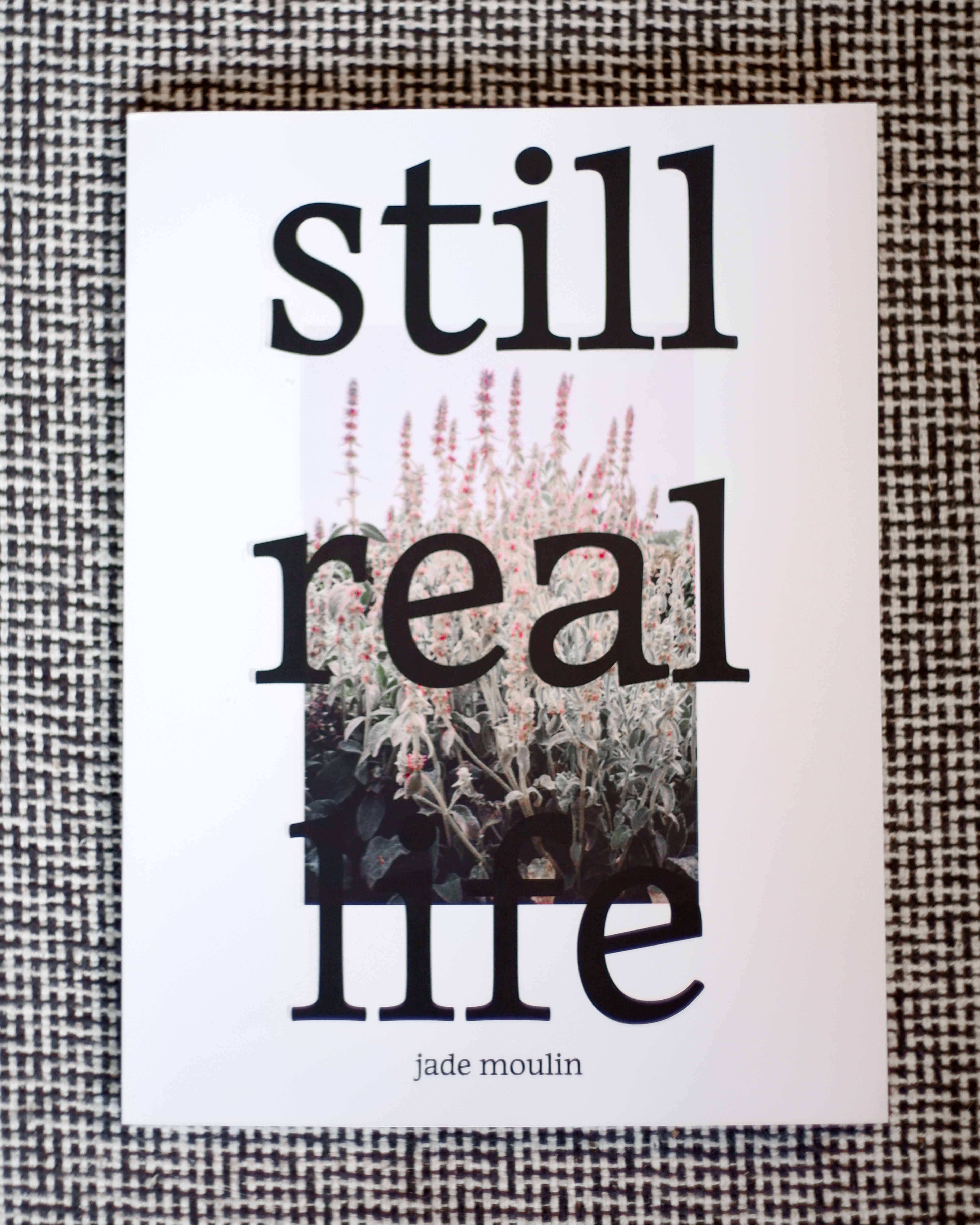Still Real Life de Jade Moulin