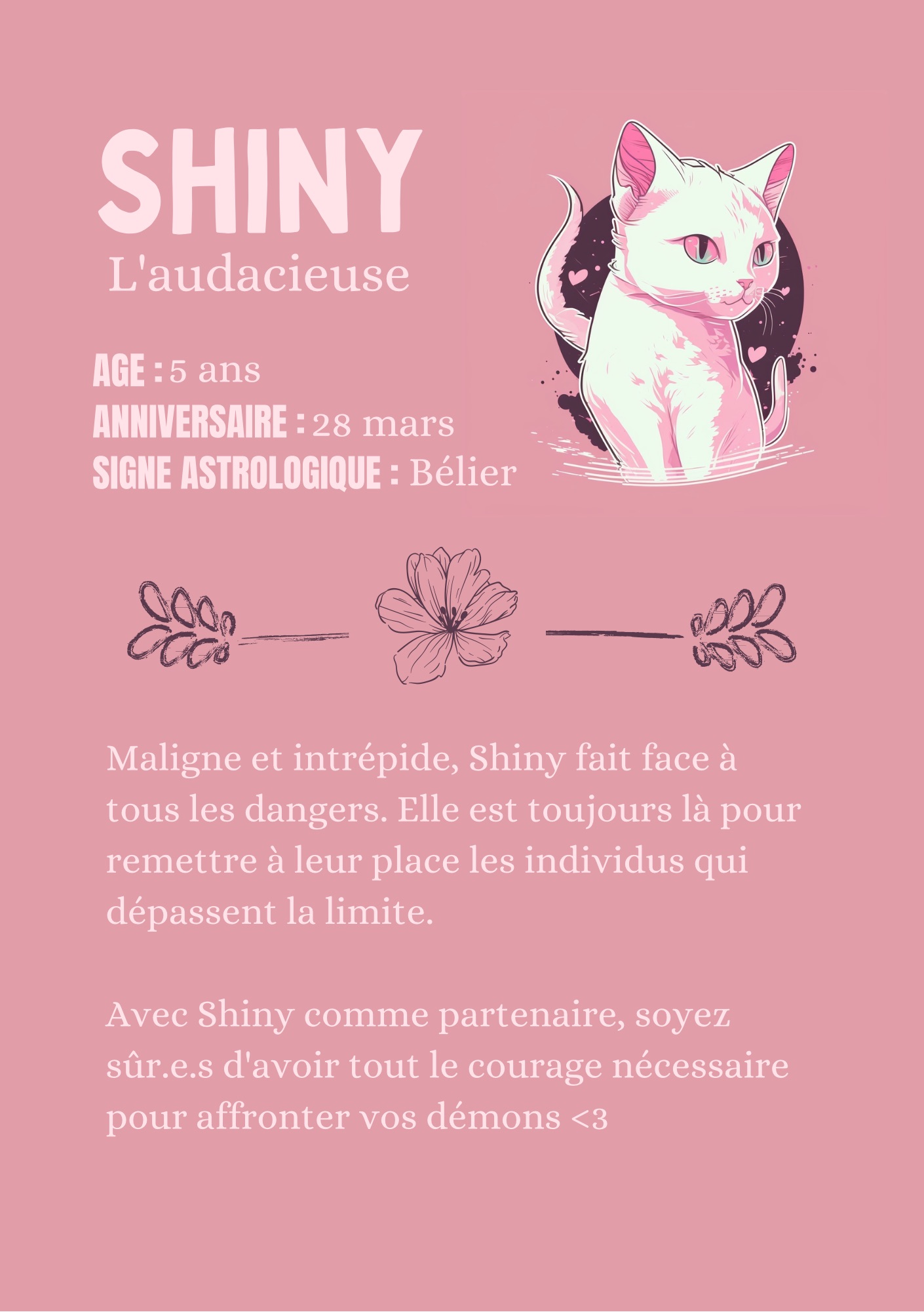 Les bullet journals d'Onyx