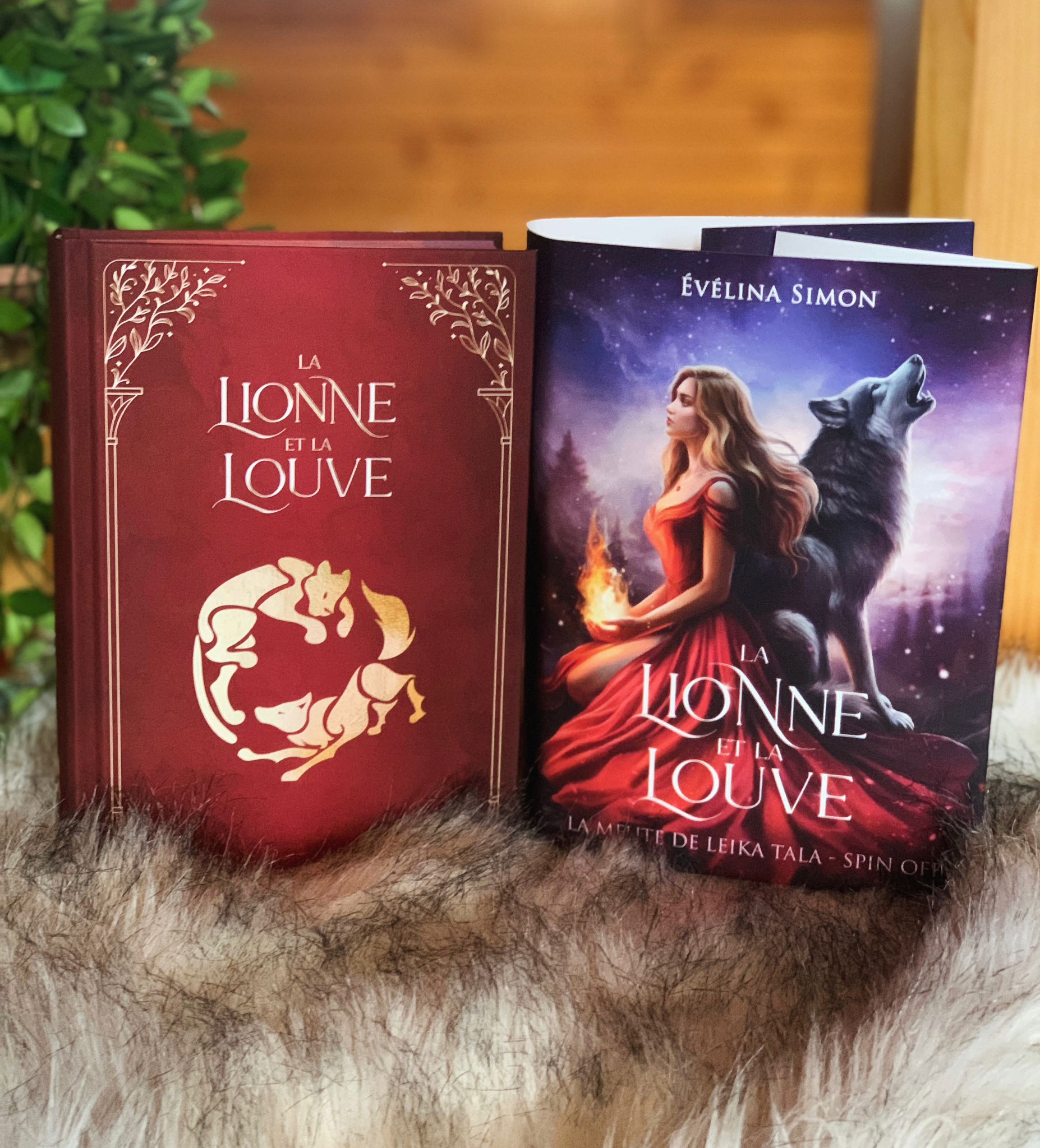 Esprit de Louve - livres + CD harpe - Ulule