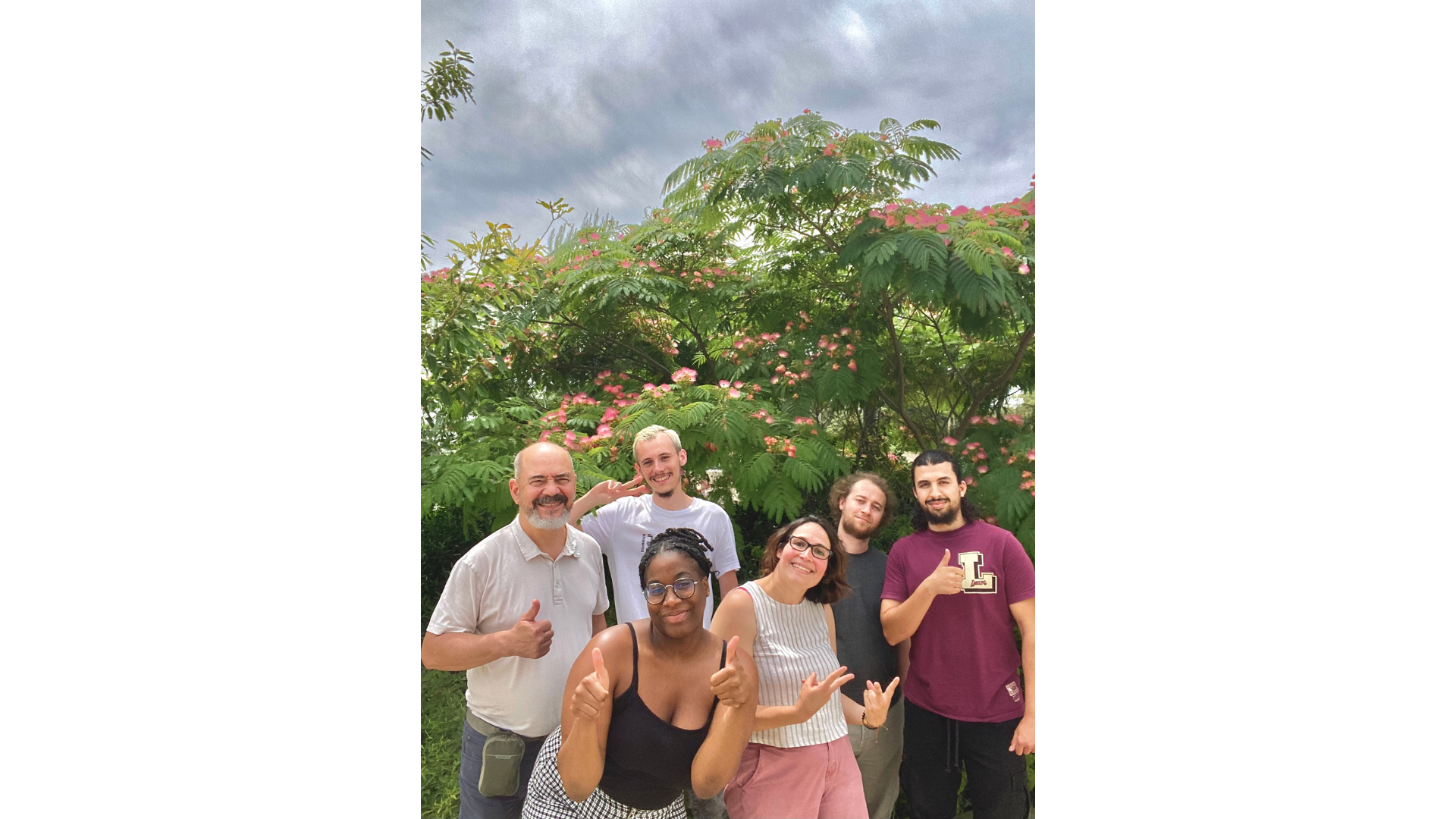 WePlante Cache Po: un design qui pousse avec la plante - Ulule