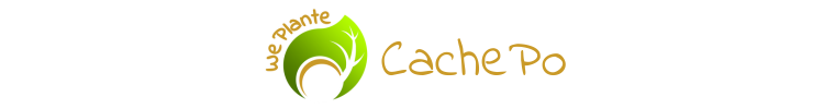 Cache Po: un design qui pousse avec la plante
