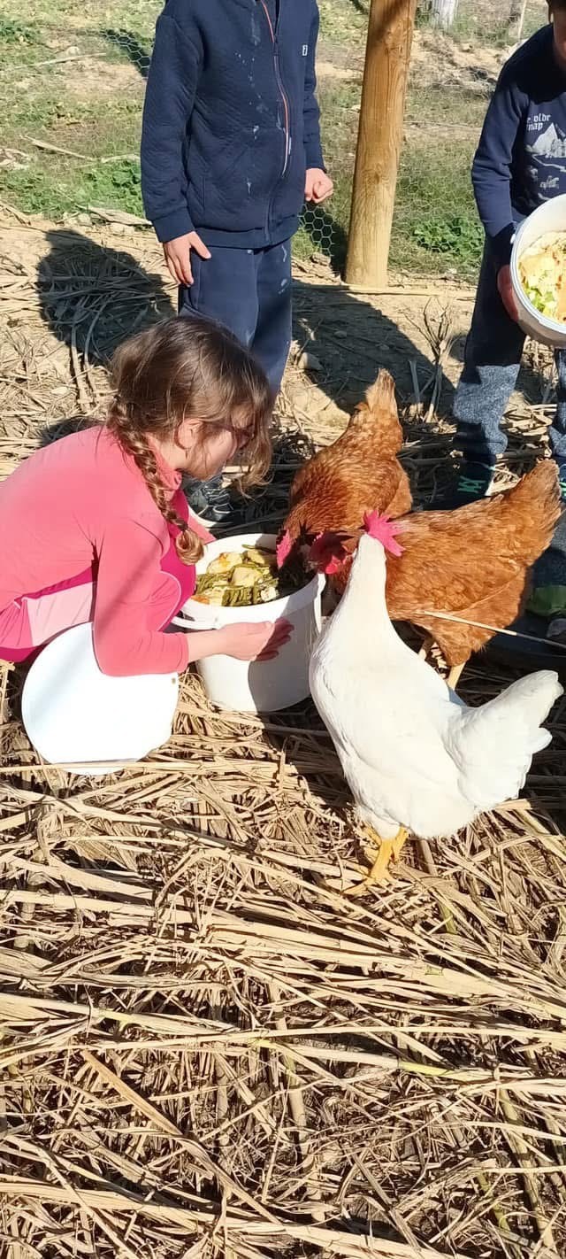 Le poulailler de Vailhauques 34570 - Ulule