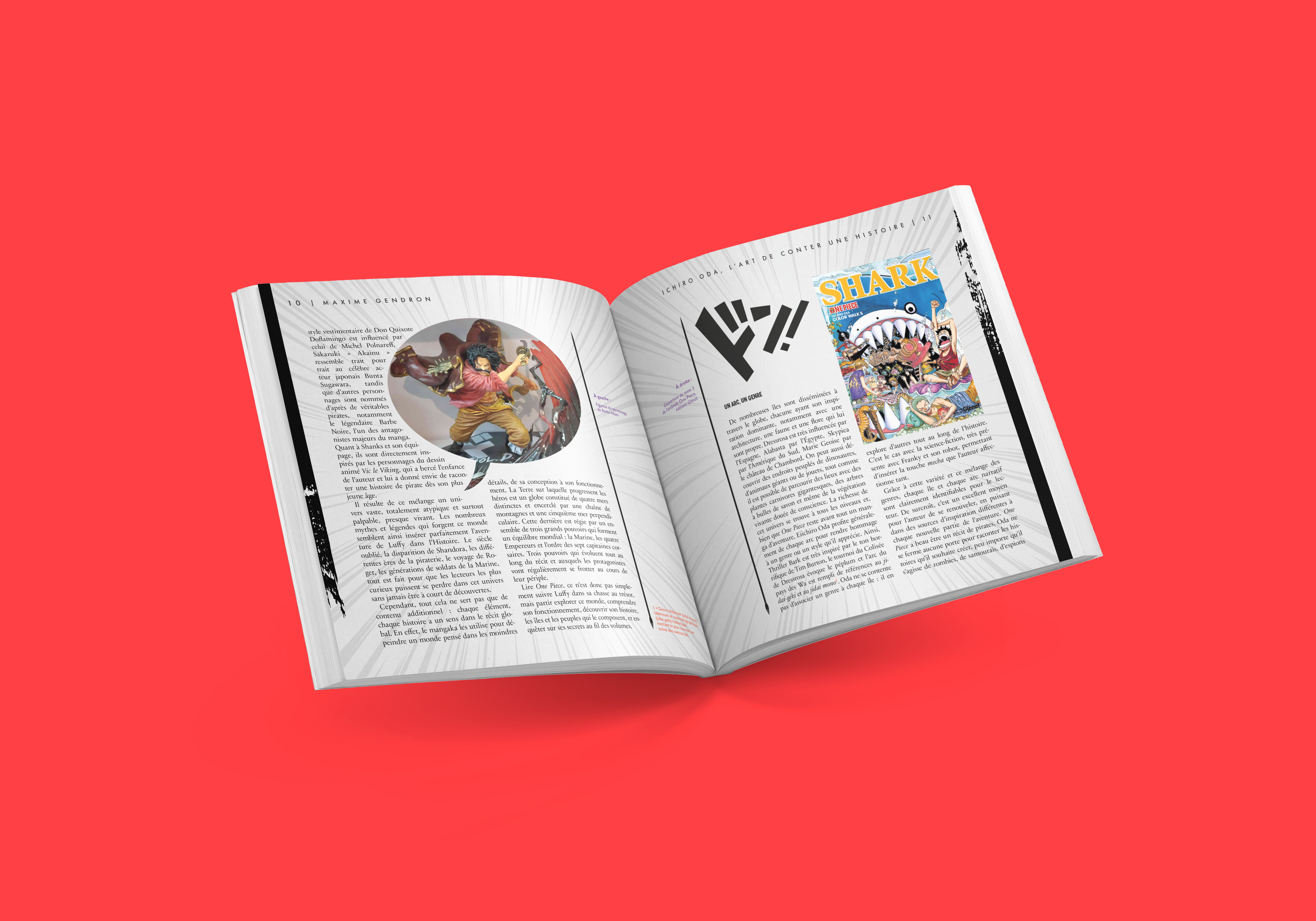 Shōnen ! & Shōjo ! Les beaux-livres manga