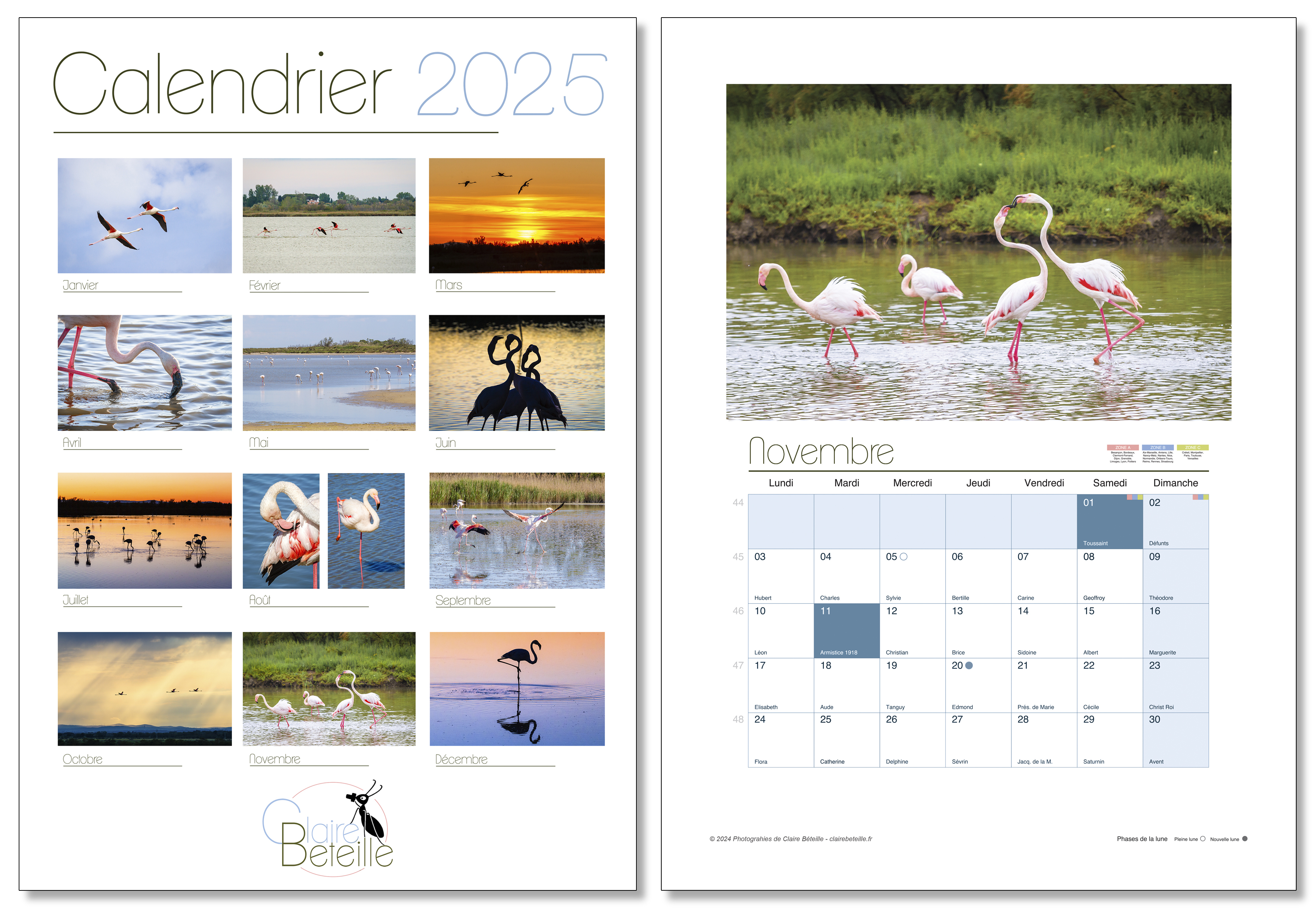 Claire Béteille • Calendrier Photo 2025 Flamants Roses - Ulule